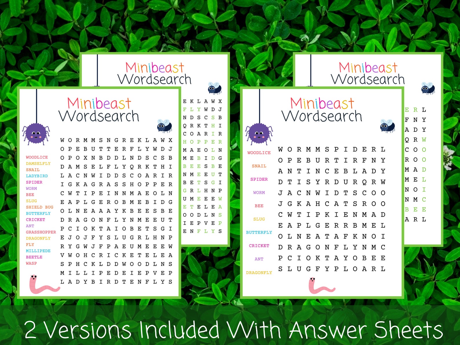 Minibeast Word Search Bugs Word Search for Kids Nature - Etsy