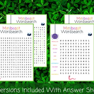 Minibeast Word Search | Bugs Word Search for Kids | Nature Themed Word ...