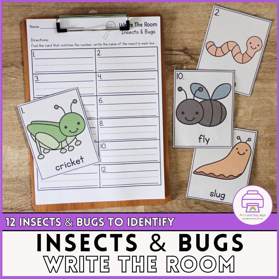 Insects and Bugs Write the Room - Etsy