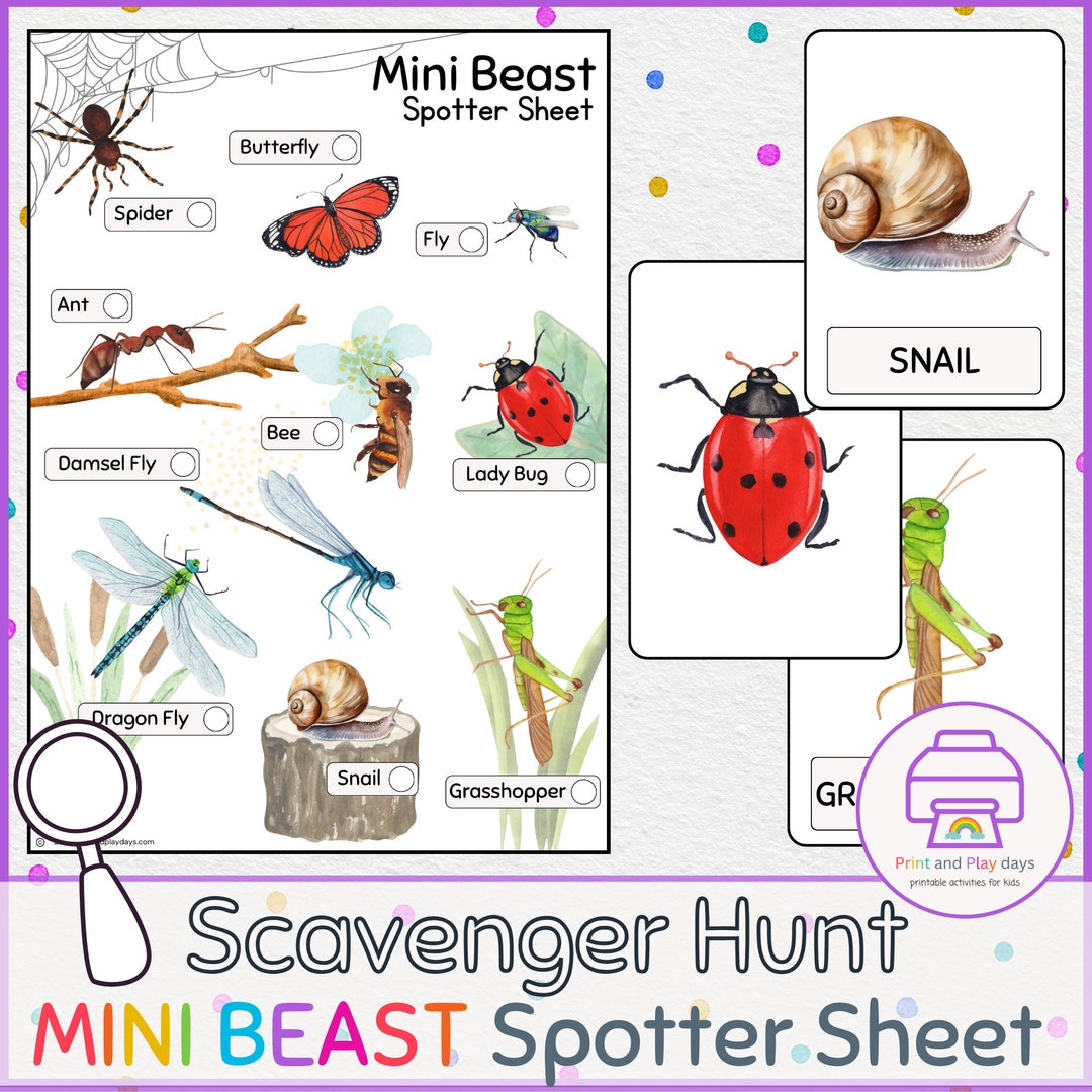 Minibeast Spotter Sheet | Bug Hunt | Minibeast Scavenger Hunt Printable ...