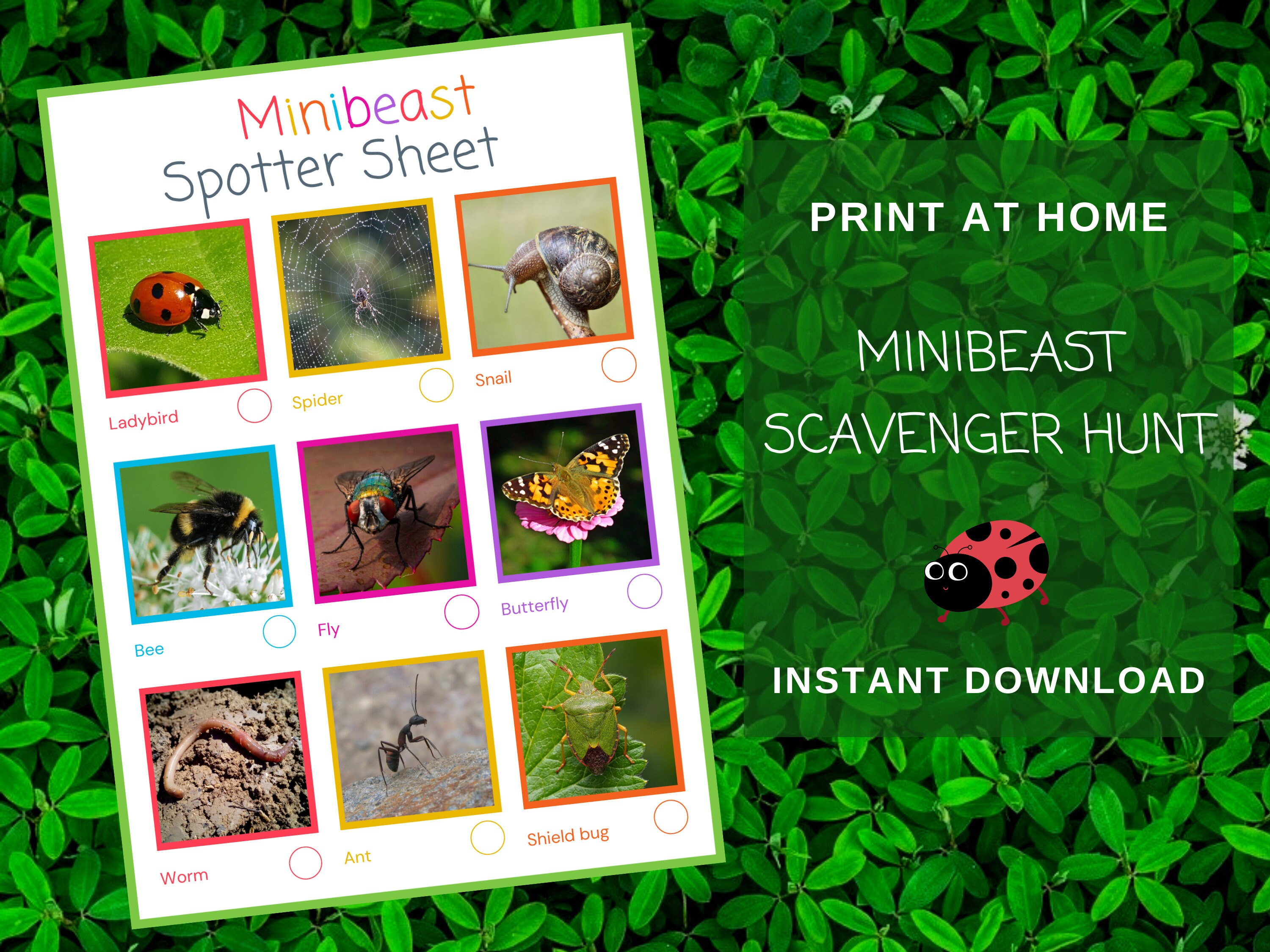 Minibeast Scavenger Hunt Bug Scavenger Hunt for Kids Insect Scavenger ...