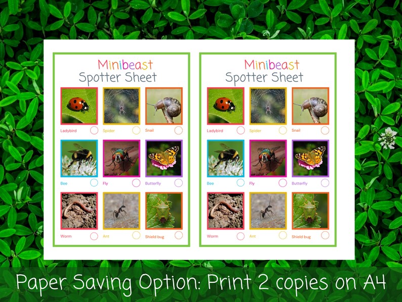 Minibeast Scavenger Hunt| Bug Scavenger Hunt for Kids | Insect ...