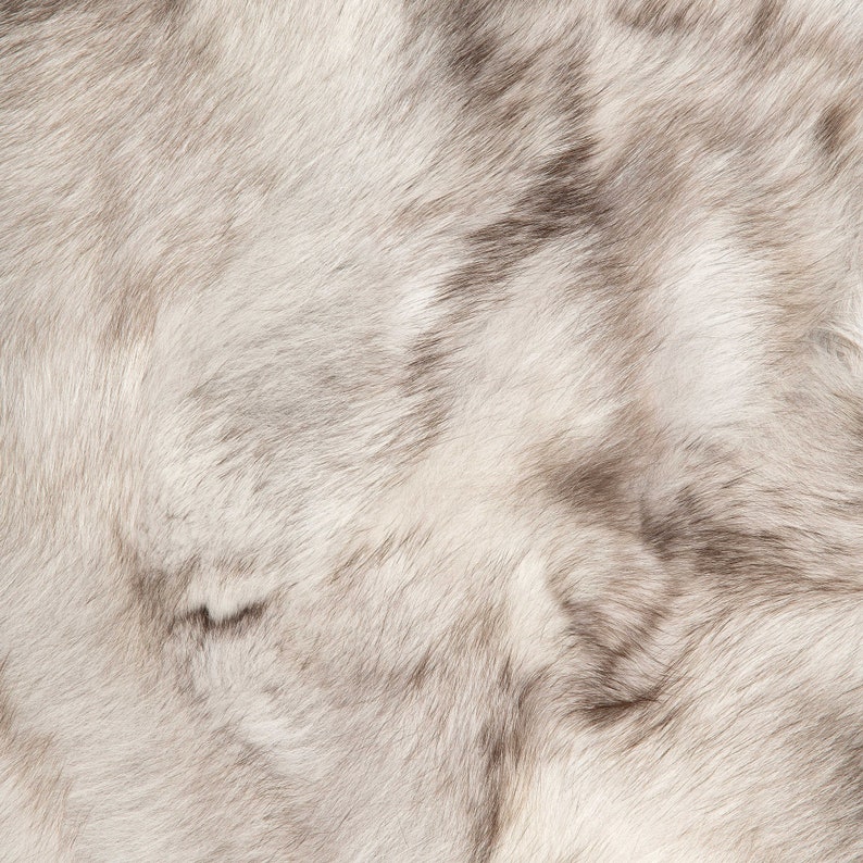 Real Fox Throw, Luxury Living Room, Genuine Fur Blanket, Fox Fur ...