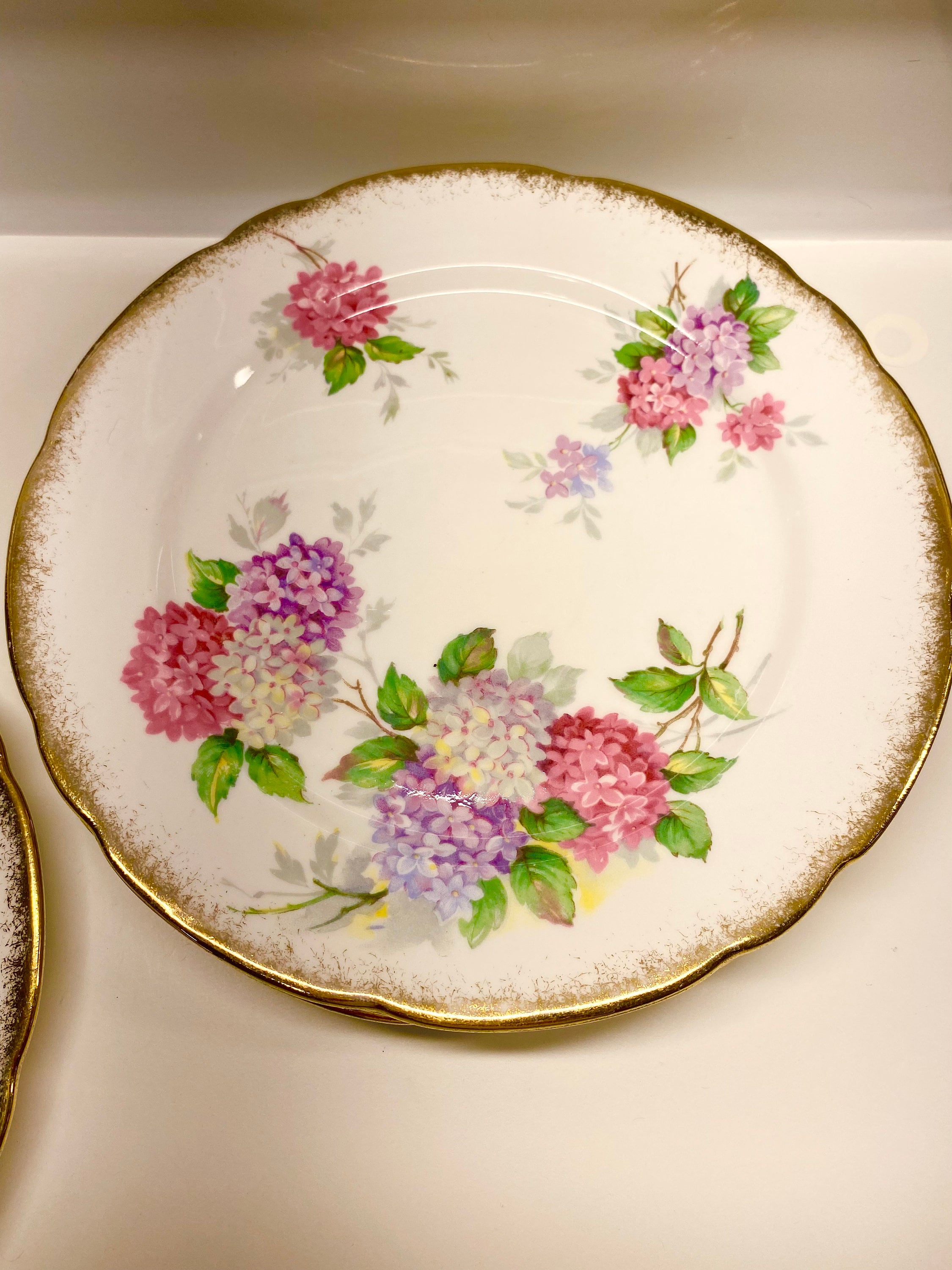 Vintage Royal Stafford England, Carousel Plates, 6 - Etsy