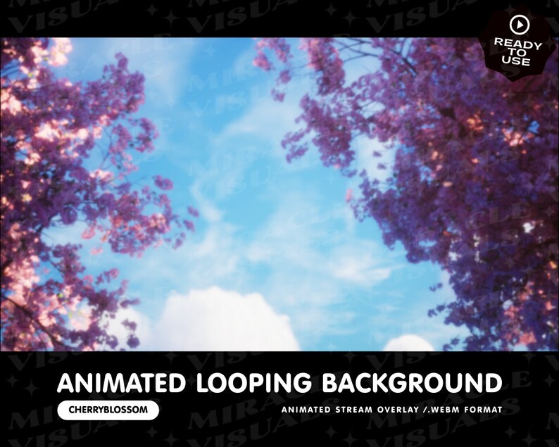 Animated Cherryblossom Background / Loop / Sakura / Pink / Relax ...