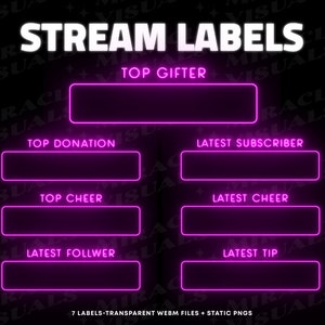 7 X Animated Neon Stream Labels / Neon / Twitchlabels / Purple - Etsy