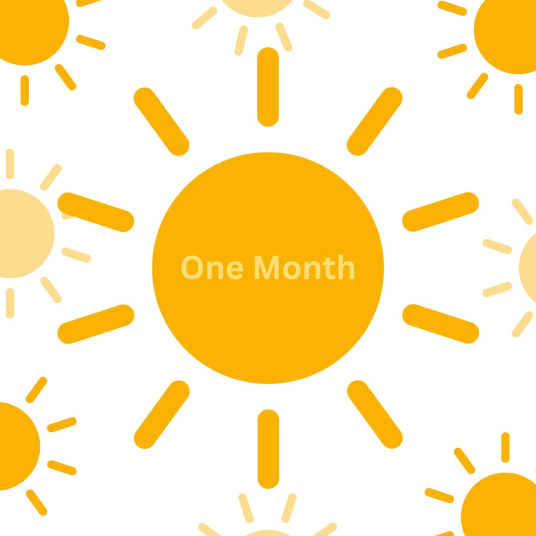 Baby Monthly Milestone Markers - Sun Themed - Etsy