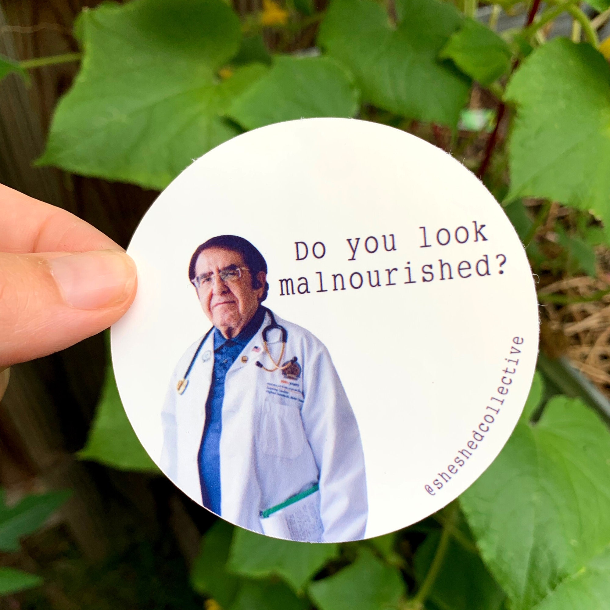 Dr. Now My 600lb Life Sticker Dr. Now Sticker Funny Humor Stickers ...