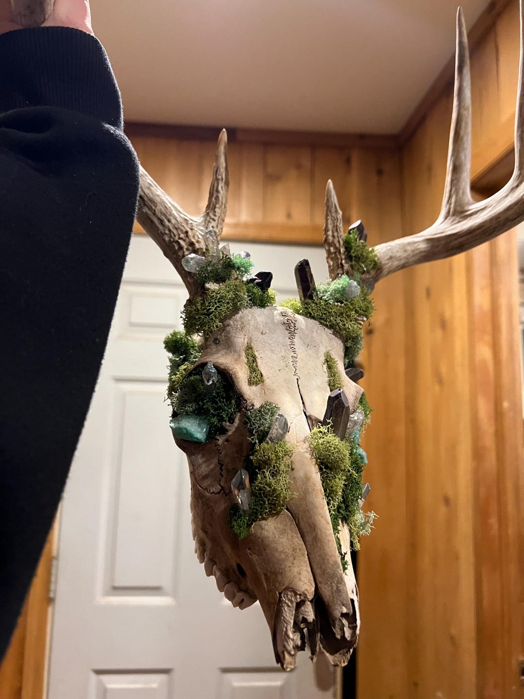 Whitetail Buck European Mount Adorned With Quartz Crystals, Druzy Agate ...