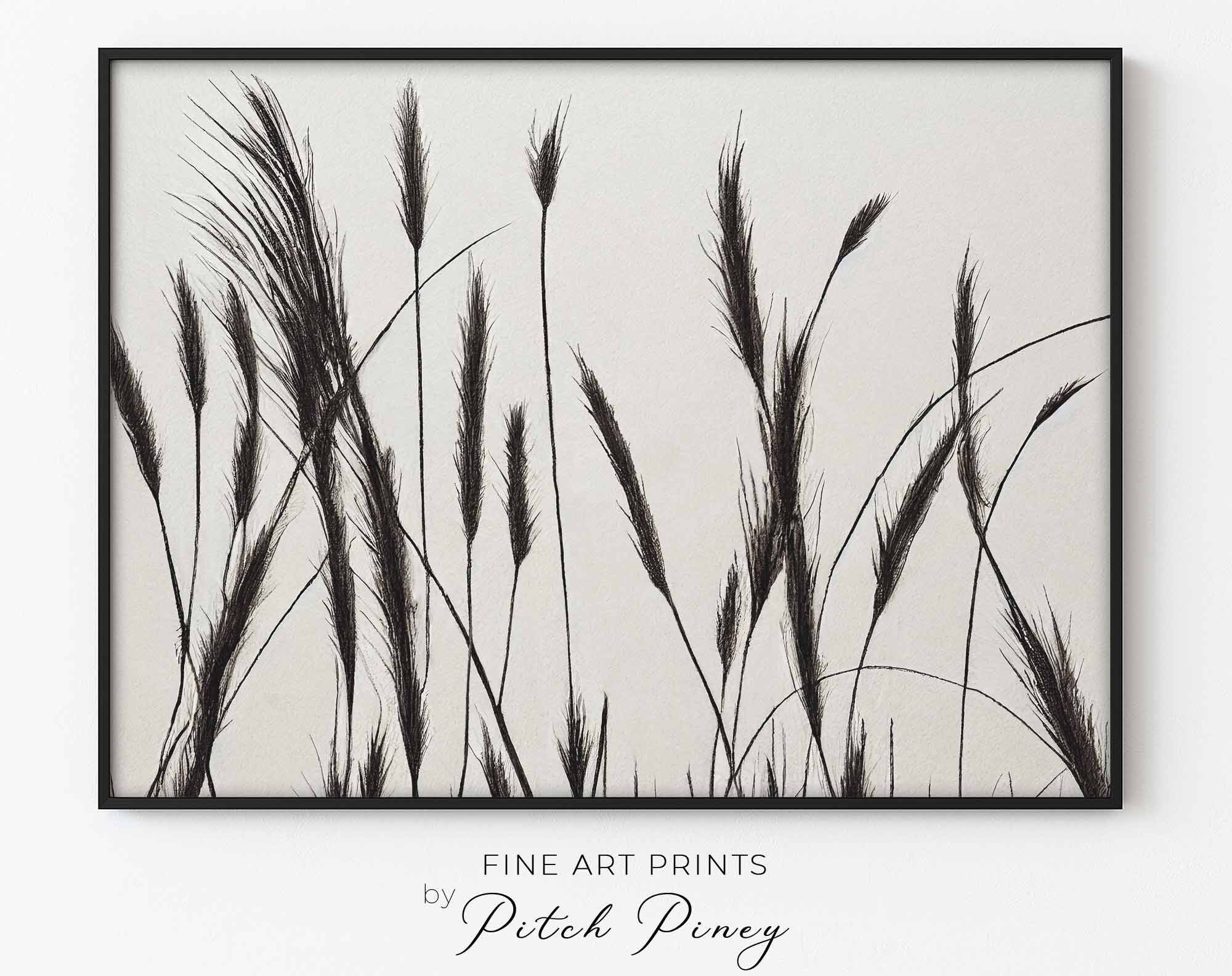 Printable Wall Art Drawing of Pampas Grass in Charcoal | Gallery Wall ...