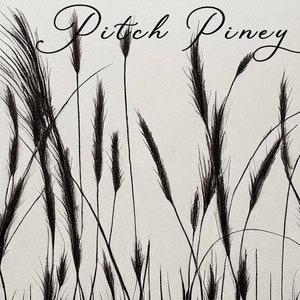 Printable Wall Art Drawing of Pampas Grass in Charcoal | Gallery Wall ...