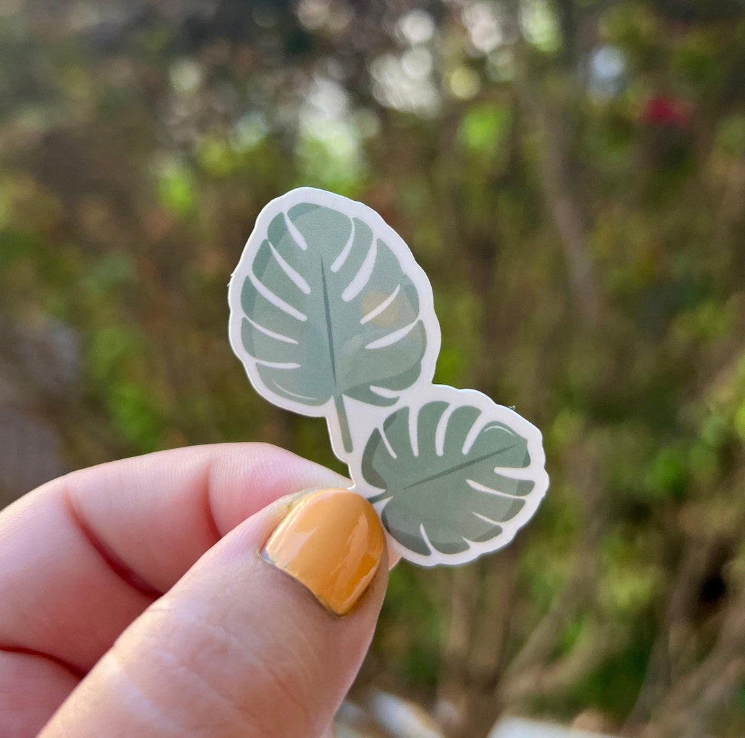 Monstera Leaf Sticker for Laptop Hydroflask Stickers Pack Sheet Book ...