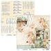 Nana's Kitchen 12 X 12 Paper Set Mintay Papers - Etsy