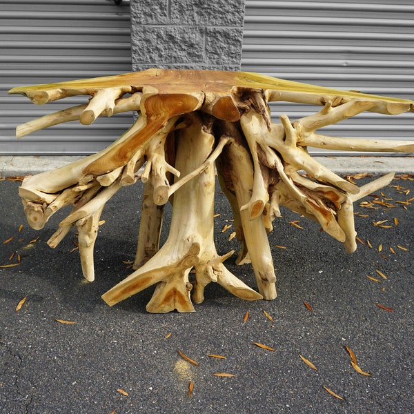 Teak Root - Etsy