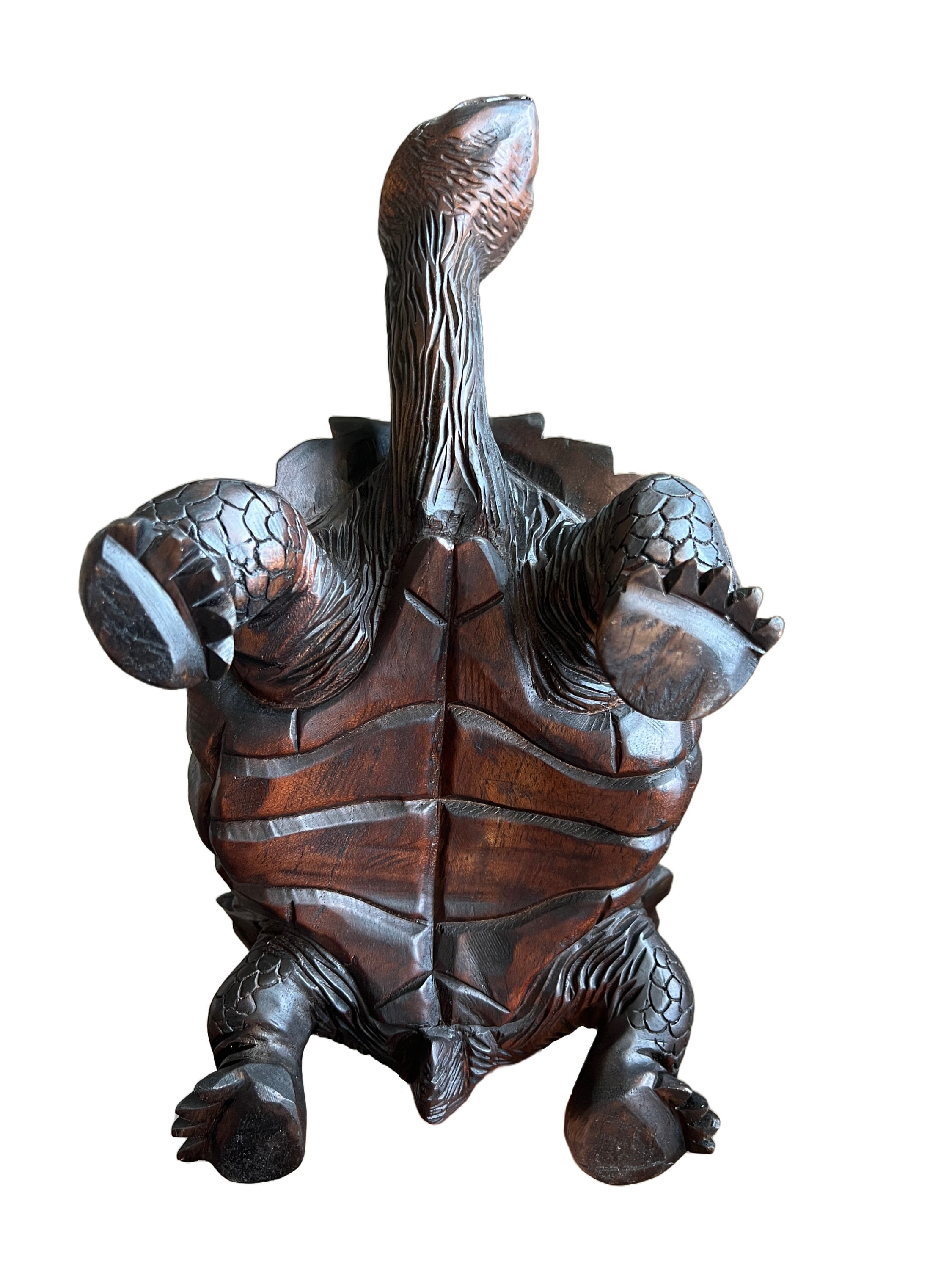 Lonesome George Wood Carved Turtle: Galapagos Island Art - Etsy