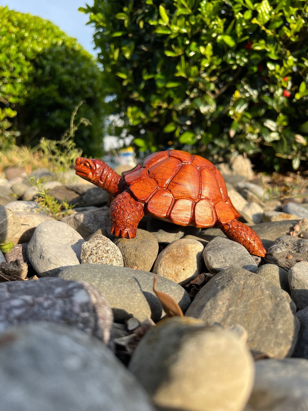 Galápagos Island Tortoise Carving - Authentic Eco-friendly Decor - Etsy