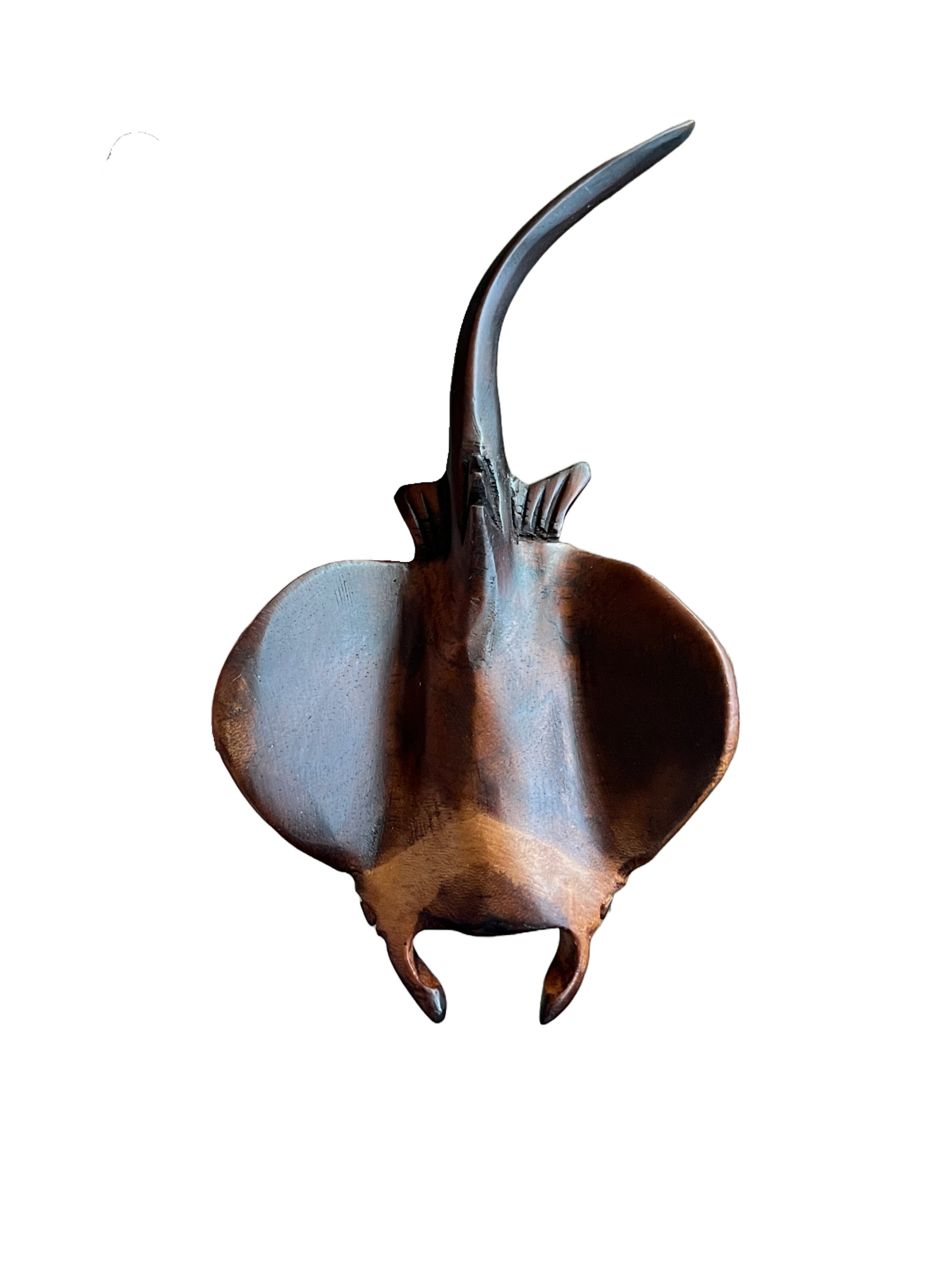 Manta Ray Devil, Crafts, Galapagos Island Wood Carved, (charles Darwin ...