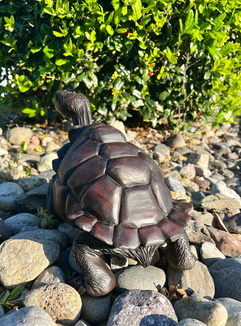 Lonesome George Wood Carved Turtle: Galapagos Island Art - Etsy