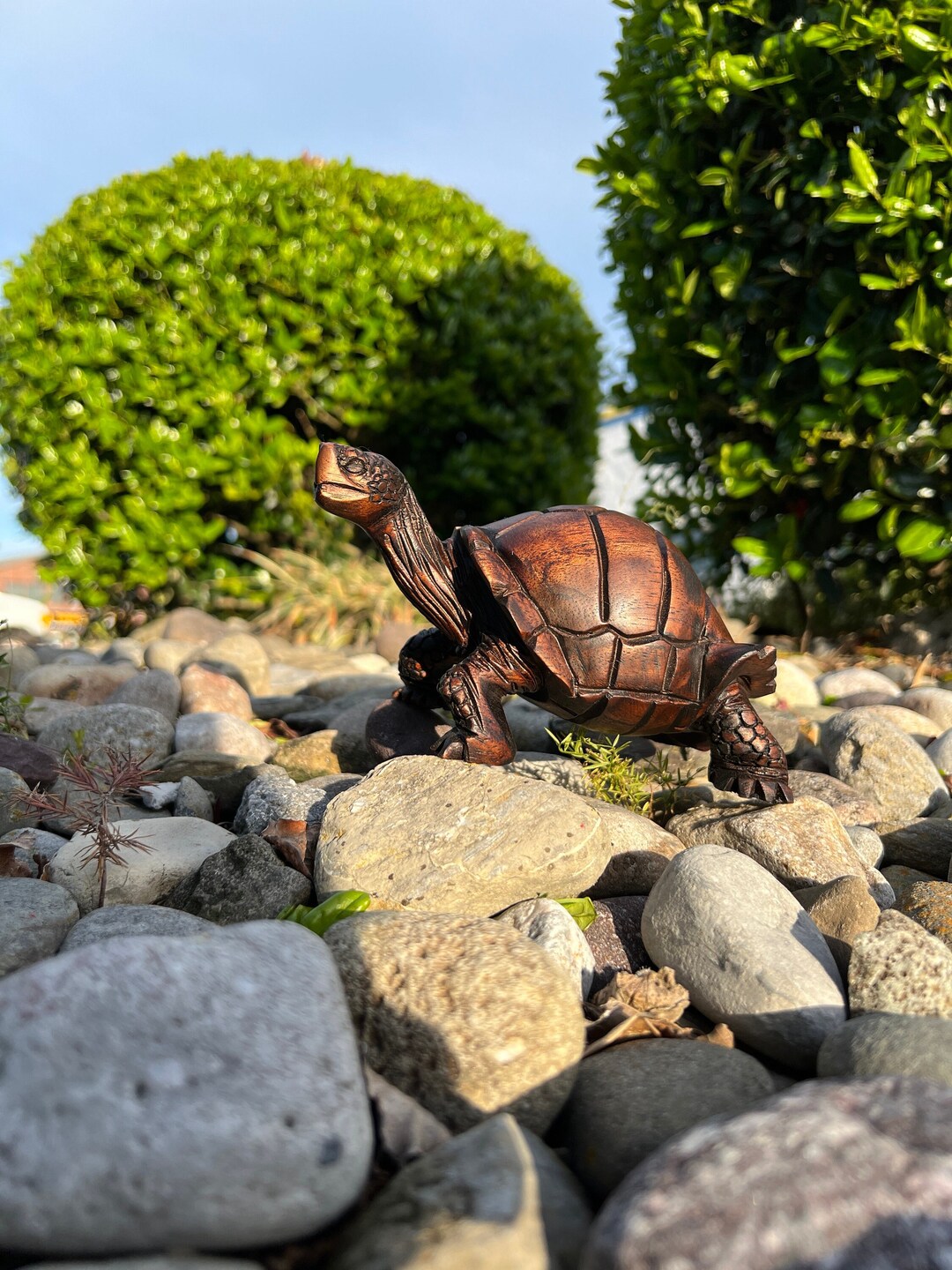 Unique Carved Turtle Sculpture Lonesome George Inspired by Galapagos ...