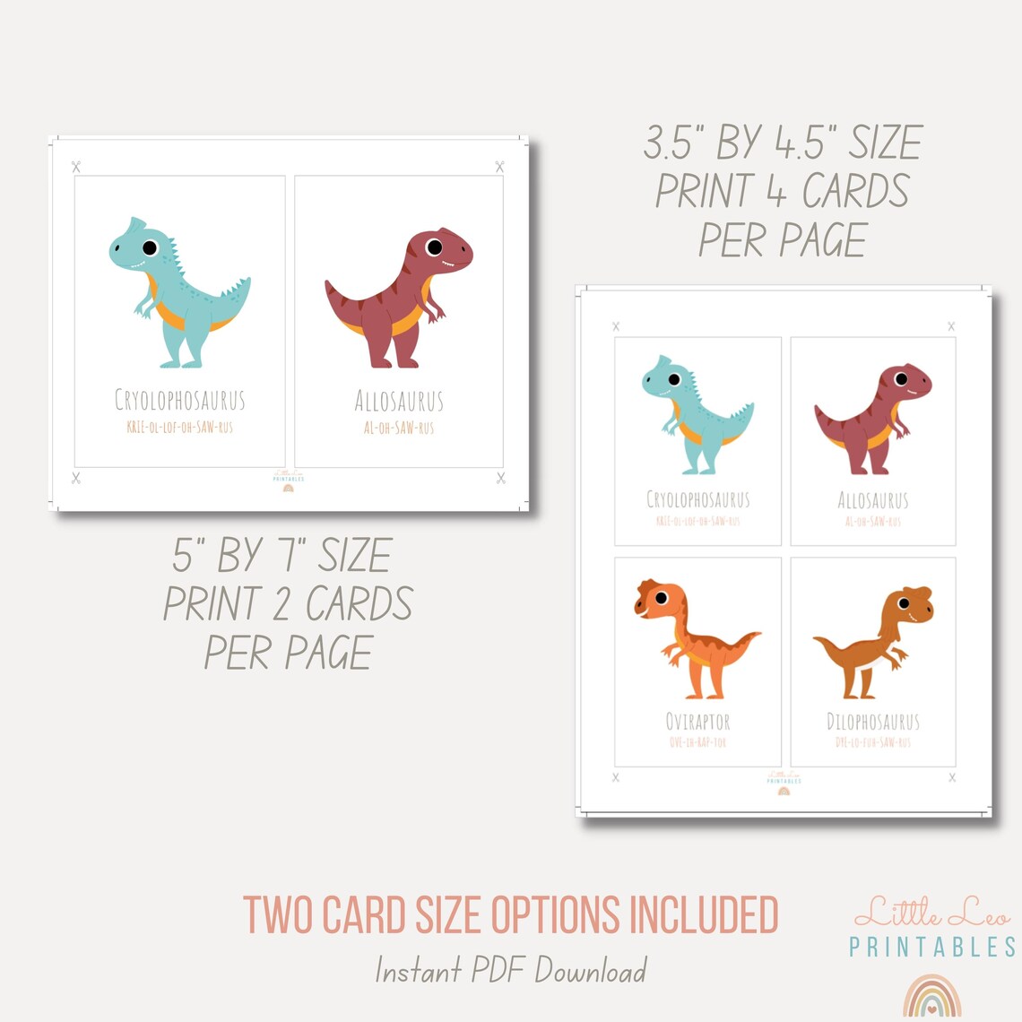 Dinosaur Flashcards: Boho Classroom Decor (digital Download) - Etsy
