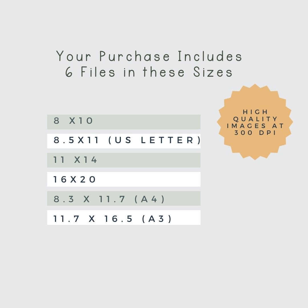 2D Shapes Math Poster Printable for Boho Classroom Bulletin Board, Real ...