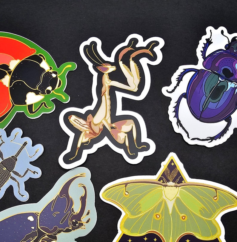 Orchid Praying Mantis Water Proof Sticker - Etsy