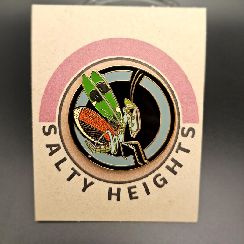 Praying Mantis Pin - Etsy