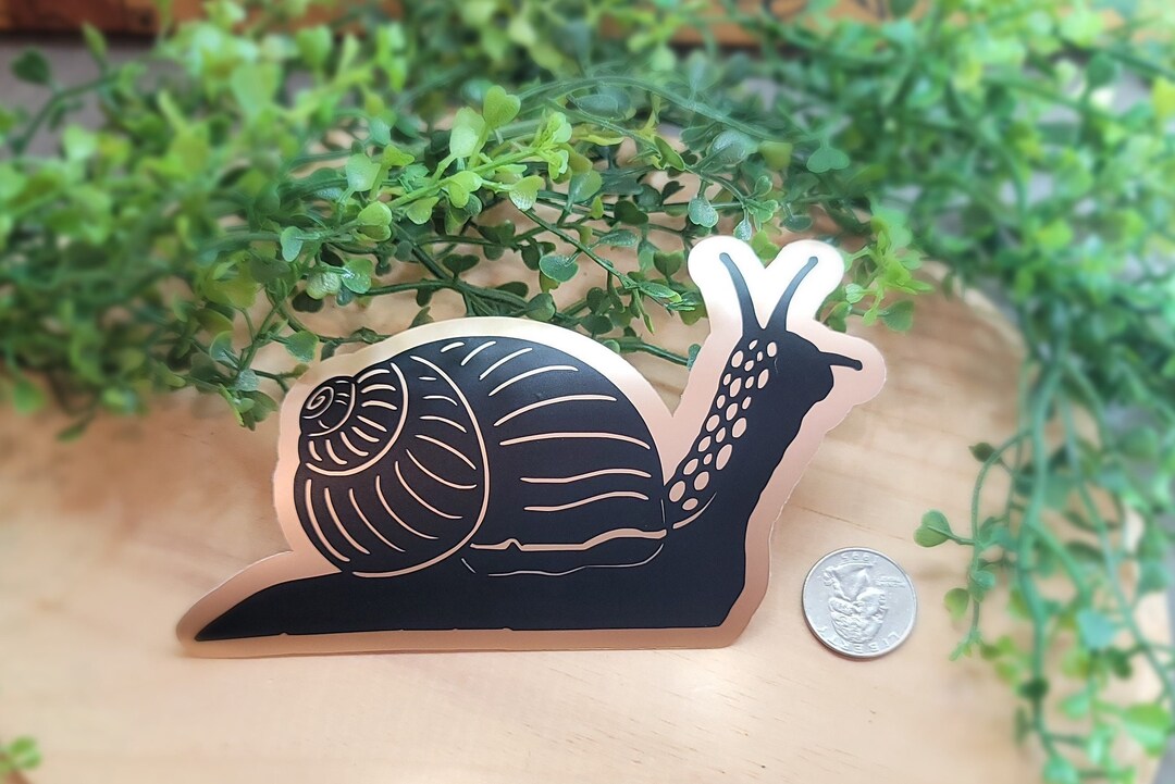 Garden Snail Vinyl Sticker - Etsy