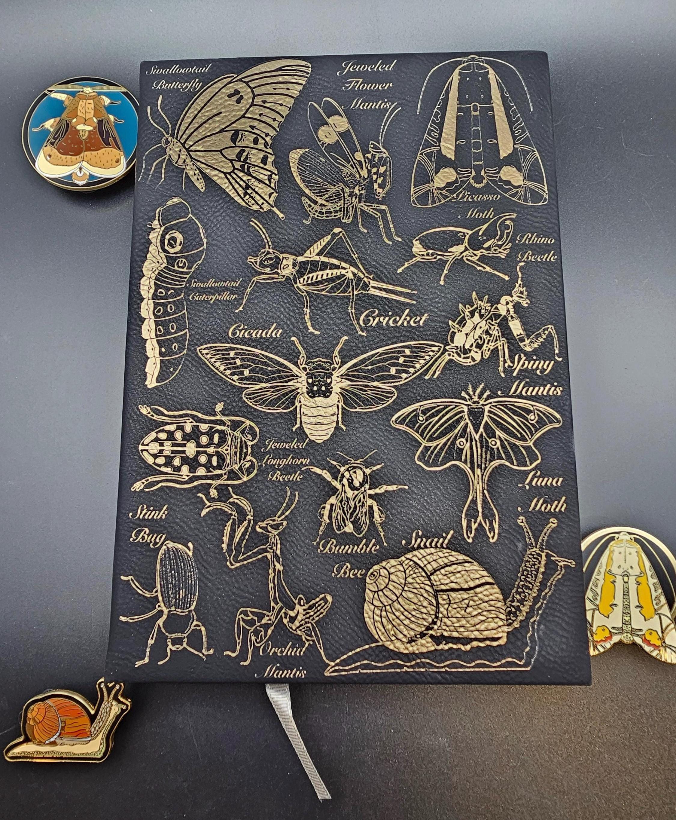 Insect Notebook or Bug Journal - Etsy