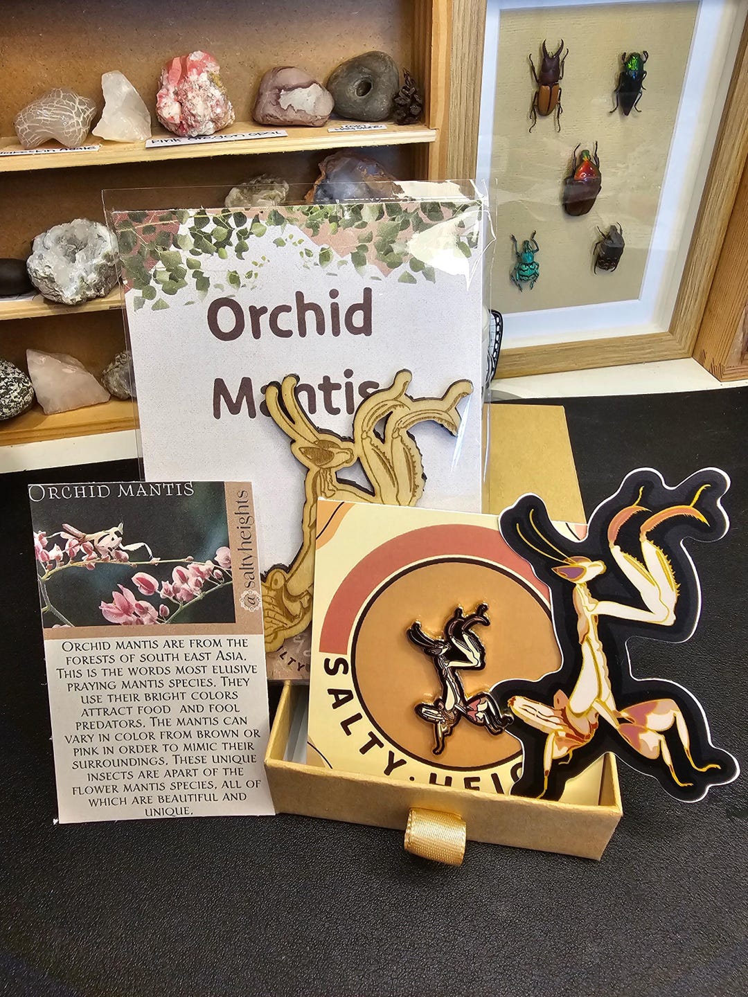 Orchid Mantis Pin, Sticker, and Magnet Pack. - Etsy