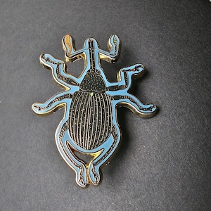 Weevil Hard Enamel Pin - Etsy