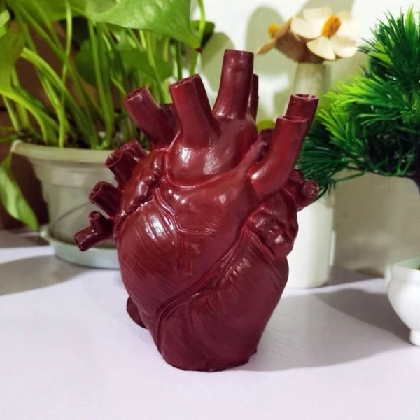 Anatomical Heart Vase - Etsy