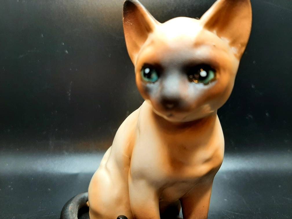 Amber Gaul's Instagram, Twitter & Facebook on IDCrawl