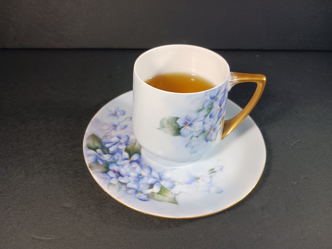 Rosenthal Germany Tea Cup and Saucer Elegant Blue Violet Design-vintage ...