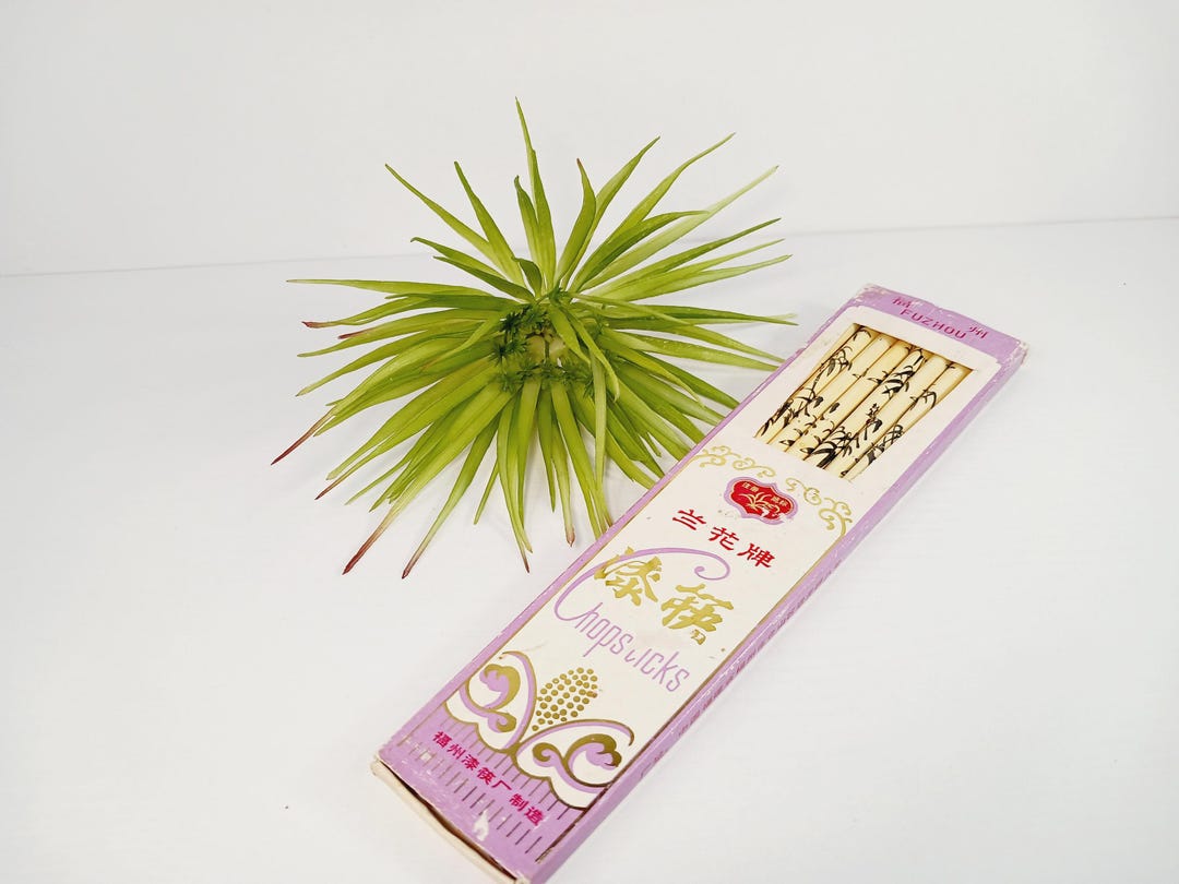 Fuzhou Lacquer Chopsticks Set – Beige Bamboo Design, Foodie Gift - Etsy