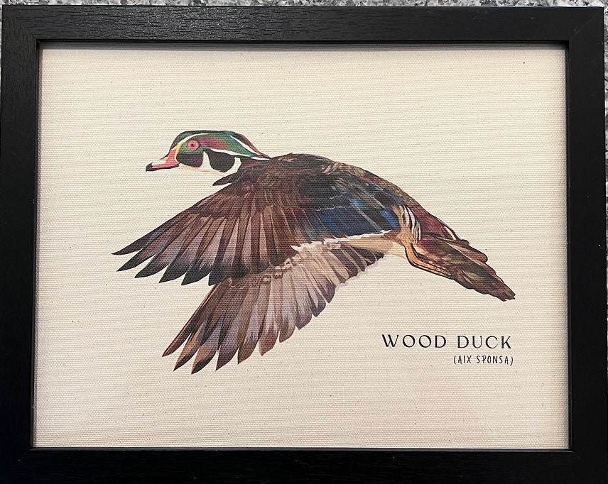 Canvas Duck Prints - Etsy