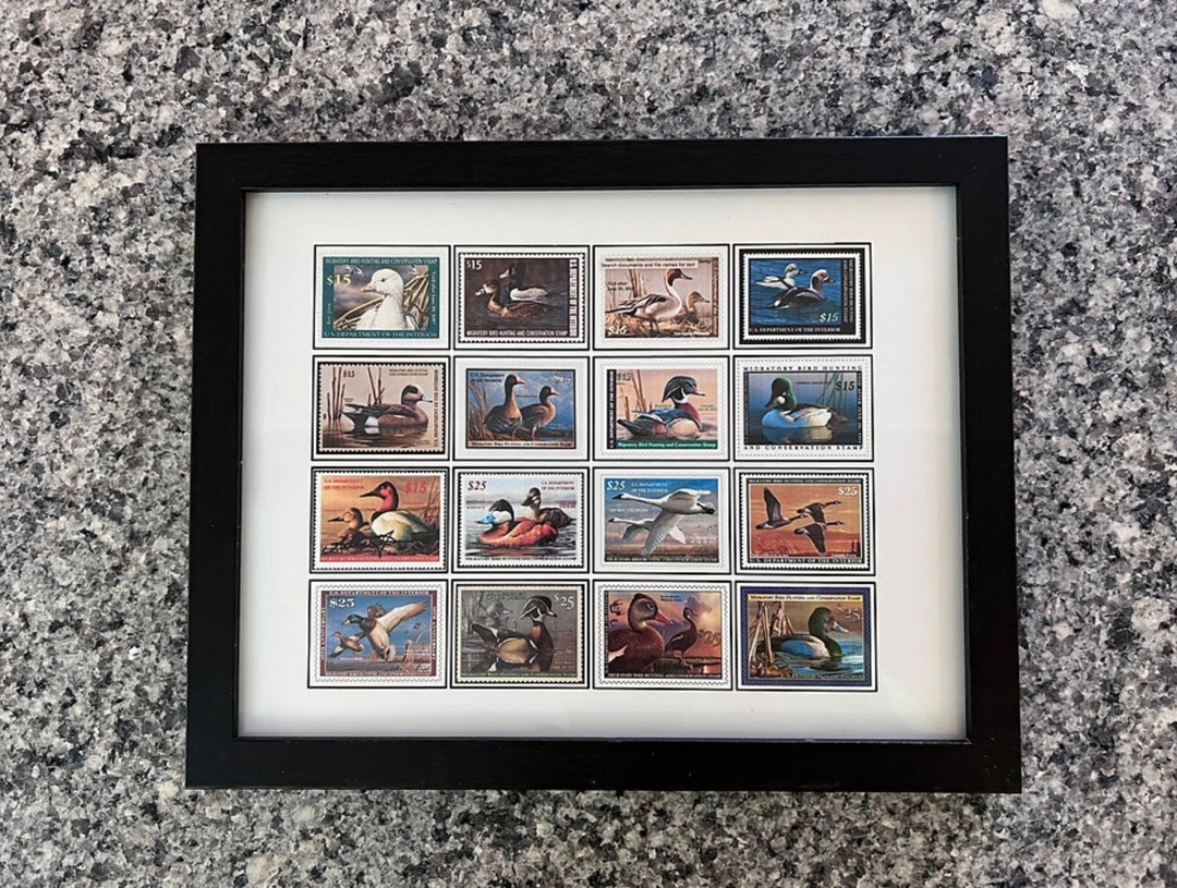 Federal Duck waterfowl Stamp Collection Frame - Etsy