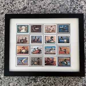 Federal Duck waterfowl Stamp Collection Frame - Etsy