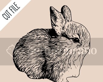 Dwarf Rabbit Svg File - Etsy