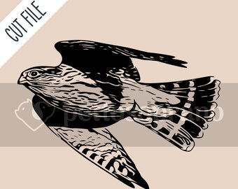 Merlin Bird Vector - Etsy