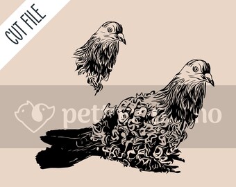 Pigeon Svg Pigeon Png Pigeon Clipart Pigeon Vector File Free - Etsy