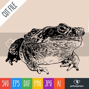Cane Toad Instant Digital Downloadable File for Silhouette,clipart ...
