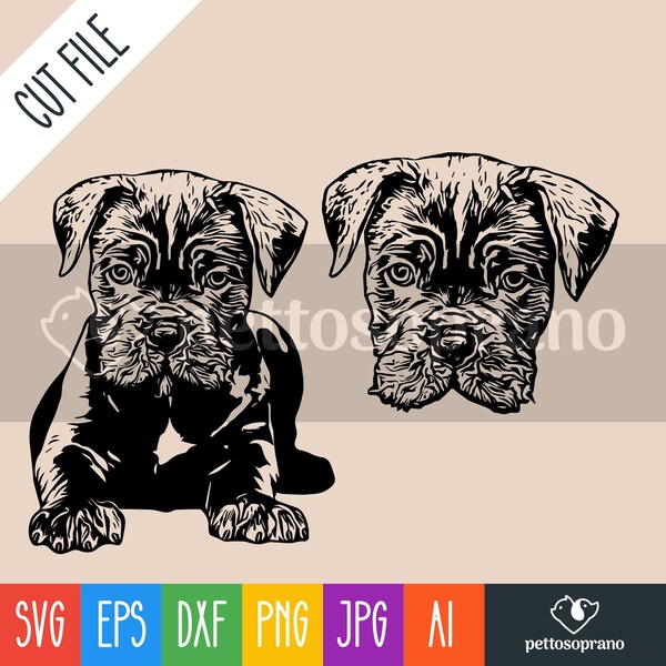 Cane Corso Png - Etsy