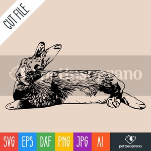 Flemish Giant - Etsy