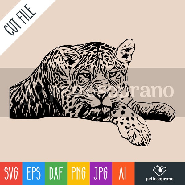 Jaguar Svg - Etsy