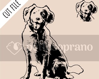 Nova Scotia Duck Tolling Svg - Etsy