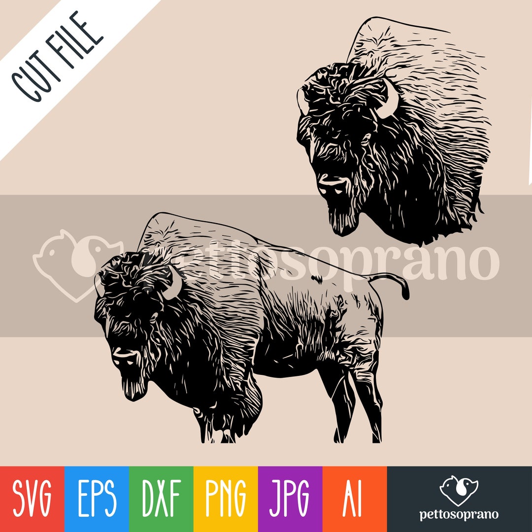 Wood Bison Svg,png,ai,eps,dxf,jpg Digital Download File Silhouette ...