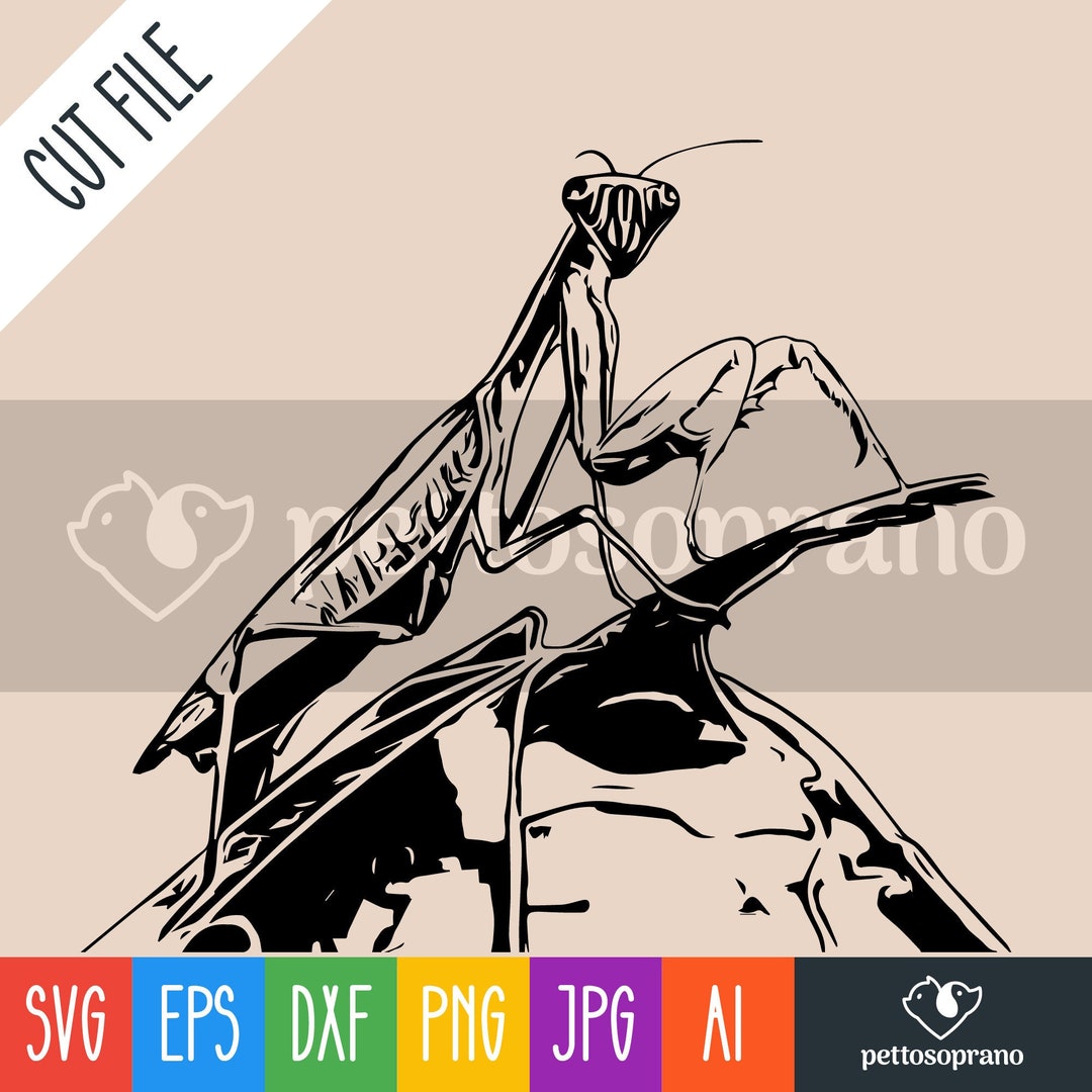 Mantis Instant Digital Downloadable File for Silhouette,clipart,vector ...