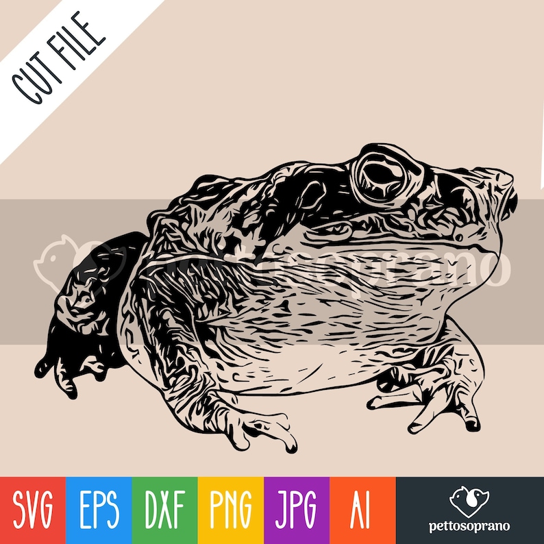 Cane Toad Instant Digital Downloadable File for Silhouette,clipart ...