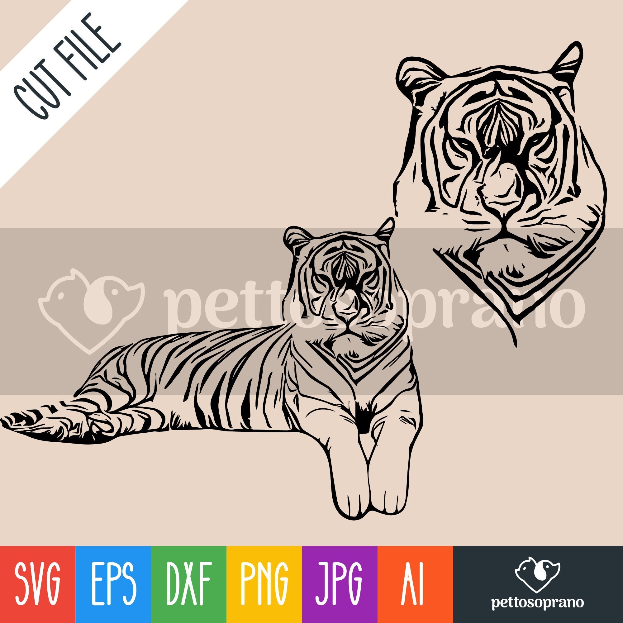 Malayan Tiger Drawing